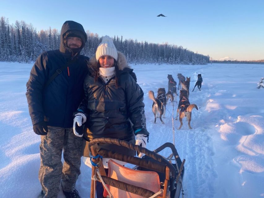 Willow: Traditional Alaskan Dog Sledding Ride - An Authentic Sled Dog Adventure Near Willow