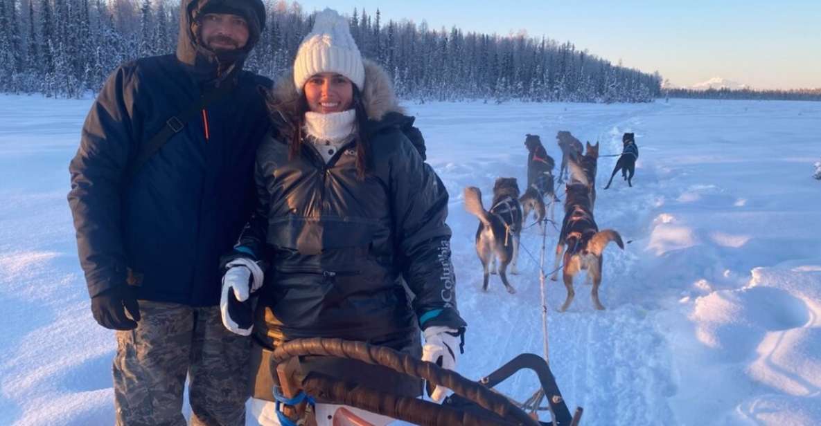 Willow: Traditional Alaskan Dog Sledding Ride - What’s Included and What You Need to Know