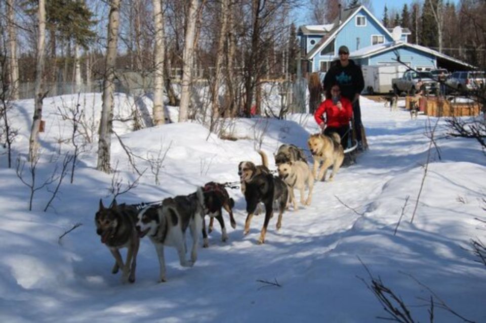 Willow: Traditional Alaskan Dog Sledding Ride - The Value of This Experience