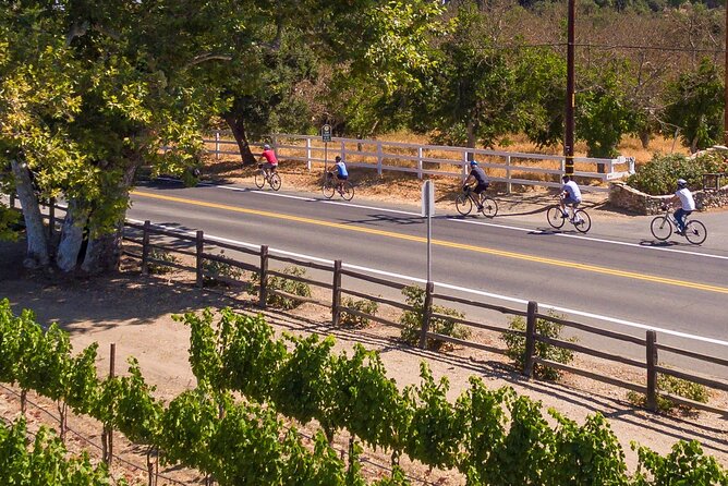 Wine Country E-Bike Guided Tour - w/o Lunch - Why Choose the Wine Country E-Bike Guided Tour?