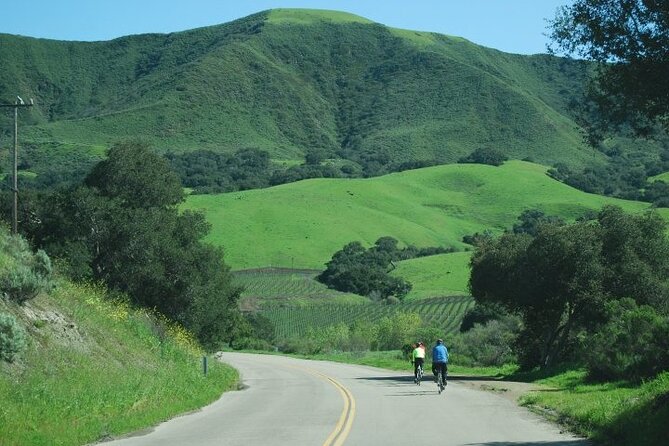 Wine Country Half-Day Bike Tour from Solvang - w/o Lunch - Key Points