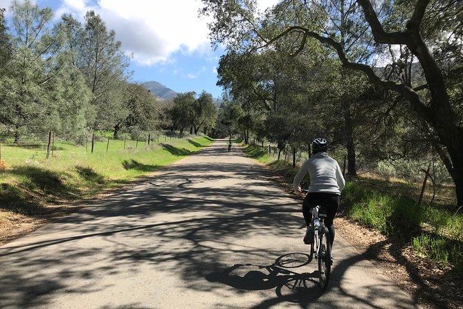 Wine Country Half-Day Bike Tour from Solvang - w/o Lunch - The Value of This Tour