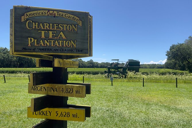 Wine Sippin'-Tea Drinkin'-Tree Huggin' Lowcountry Sightseeing - Who Should Book This Tour?