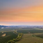 Wine, Stables and Classic Cars Willamette Valley Tour Experience - What We Love About This Tour