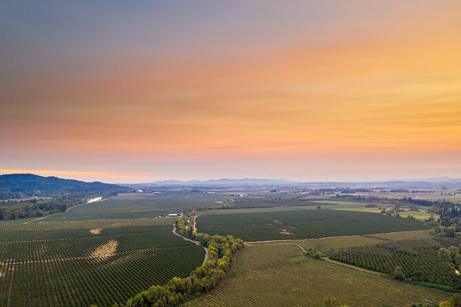 Wine, Stables and Classic Cars Willamette Valley Tour Experience - What We Love About This Tour