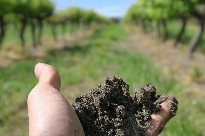 Wine Tasting Audio Tour - Lodi California - Key Points