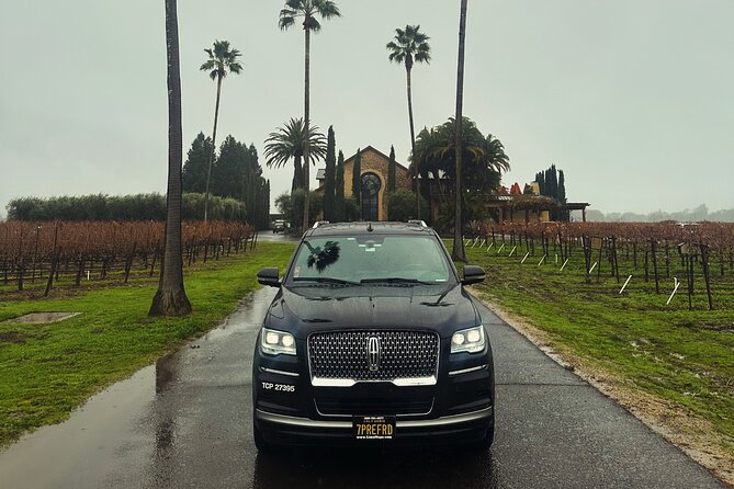 Wine Tour Napa or Sonoma Valley 6 hours - The Experience: What to Expect from a 6-Hour Napa or Sonoma Wine Tour