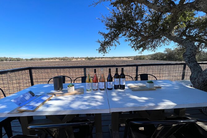 Wine Tour Pros - Fredericksburg Texas Wine Tour Up to 6 people - Why This Tour Offers Excellent Value