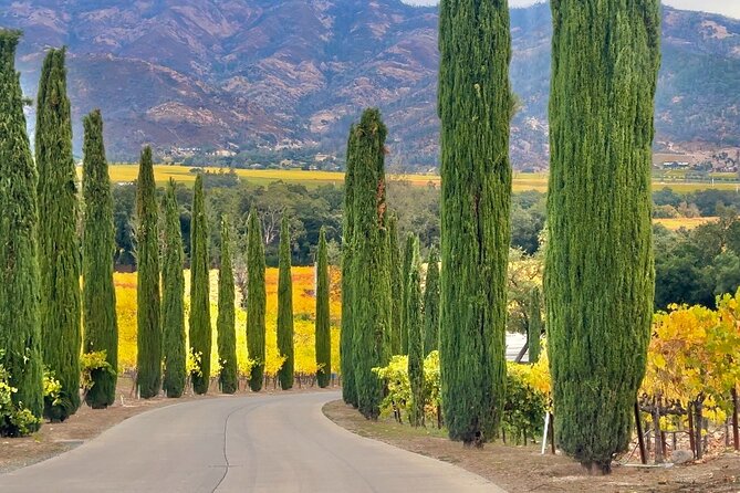 Wine Tour Transportation Services in Napa Valley - Why Choose This Napa & Sonoma Wine Tour?