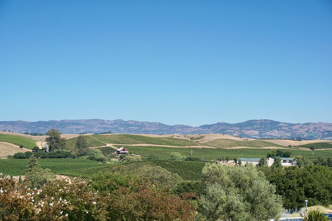 Wine Tour Transportation Services in Napa Valley - Transportation & Practical Details