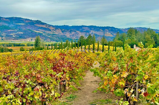 Wine Tour Transportation Services in Napa Valley - FAQs