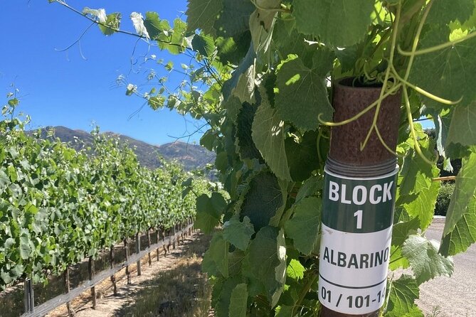 Wine Tours One - FAQ