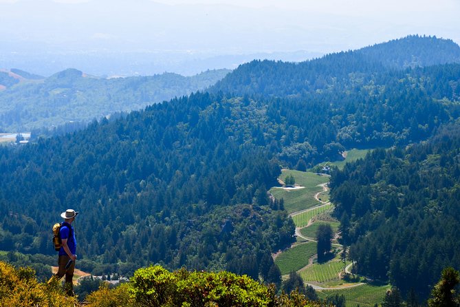 Wine & Wellness Tour in Napa Valley - Practical Details and Tips