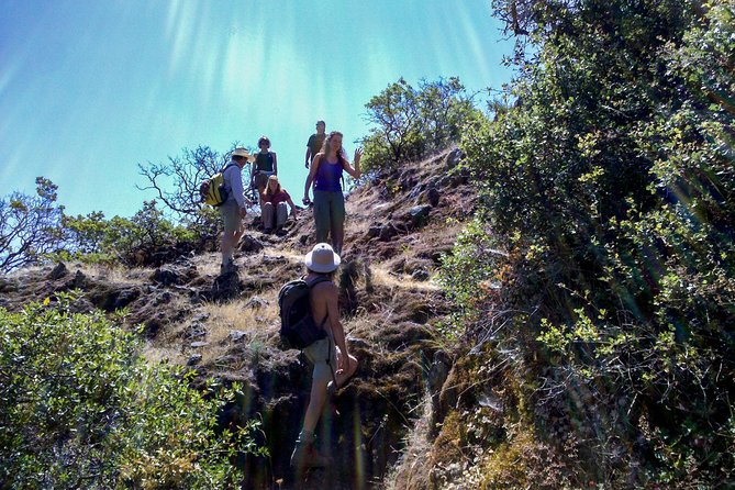 Wine & Wellness Tour in Napa Valley - FAQs