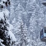 Winter - Alaska Wildlife Center with Alyeska Tram - Transportation & Group Size