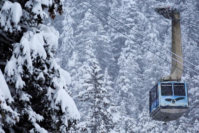 Winter - Alaska Wildlife Center with Alyeska Tram - Transportation & Group Size