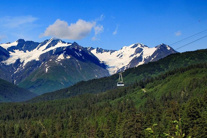 Winter - Alaska Wildlife Center with Alyeska Tram - Timing, Duration, and Practical Considerations