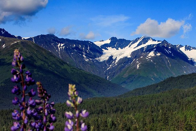 Winter - Alaska Wildlife Center with Alyeska Tram - Who Is This Tour Best For?