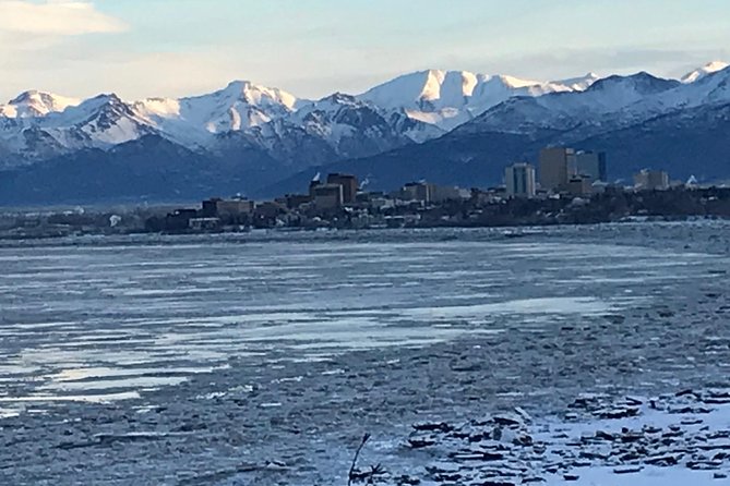 Winter - Anchorage All Around City Tour - Key Points