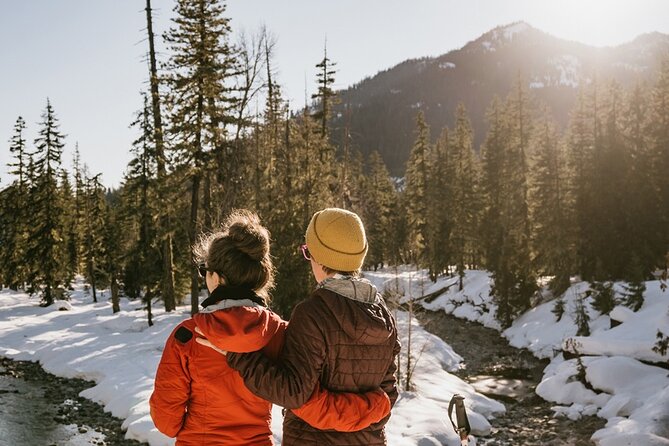 Winter Day Tour to Longmire on Mount Rainier from Seattle - The Scenic Drive to Mount Rainier