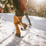 Winter Day Tour to Longmire on Mount Rainier from Seattle - Exploring Mount Rainier’s Winter Wonderland
