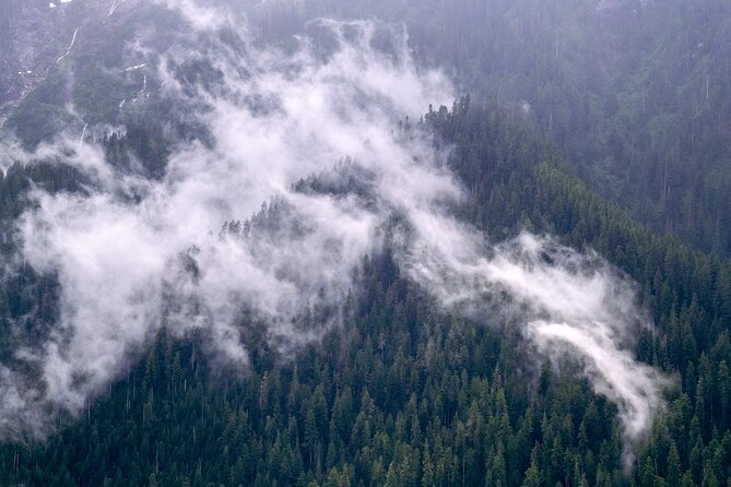 Winter Day Tour to Longmire on Mount Rainier from Seattle - The Practical Side: What to Expect