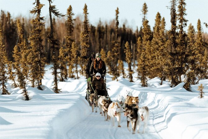 Winter Dog Sled Tour: Day or Night. - Overview of the Tour