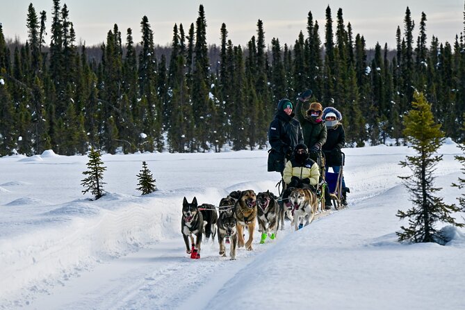 Winter Dog Sled Tour: Day or Night. - Practical Details