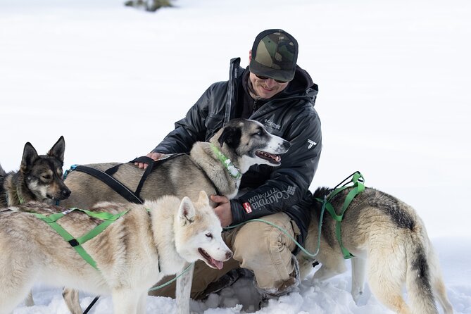 Winter Dog Sled Tour: Day or Night. - Why This Tour Is a Top Choice
