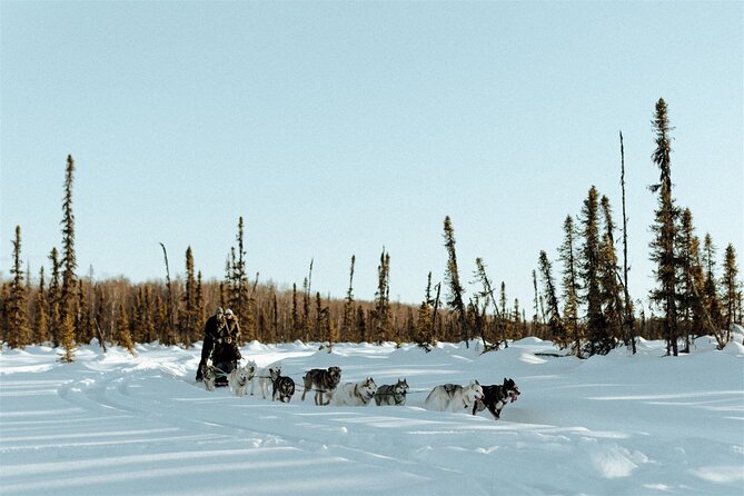 Winter Dog Sled Tour: Day or Night. - FAQ