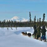 Winter Dog Sled Tour Day or Night Mush! - What Makes This Tour Special