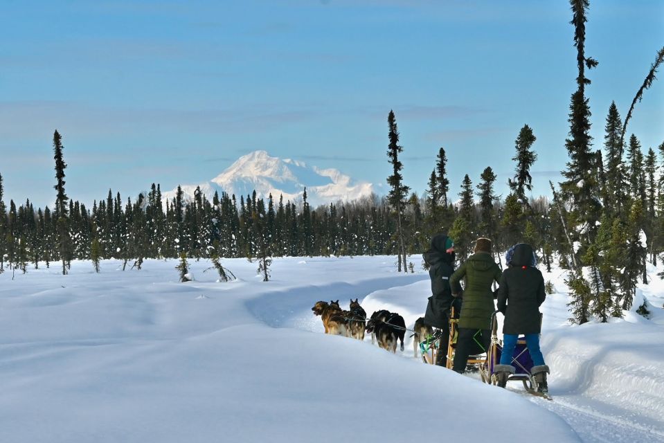 Winter Dog Sled Tour Day or Night Mush! - What Makes This Tour Special