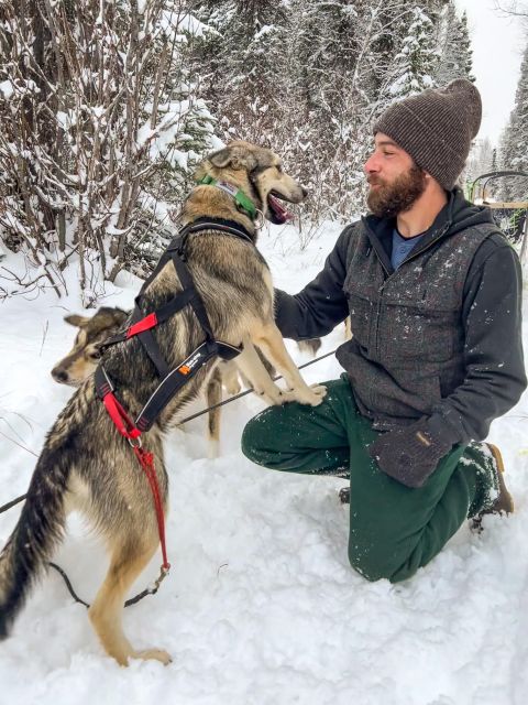 Winter Dog Sled Tour Day or Night Mush! - The Trail and Scenic Highlights