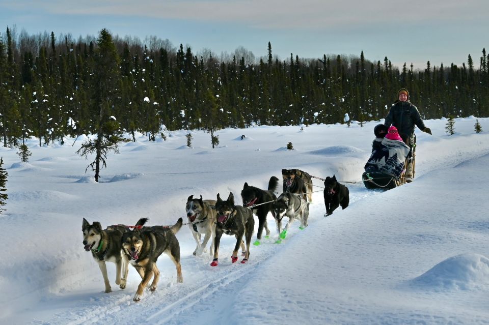 Winter Dog Sled Tour Day or Night Mush! - Post-Ride Relaxation and Animal Cuddle Time