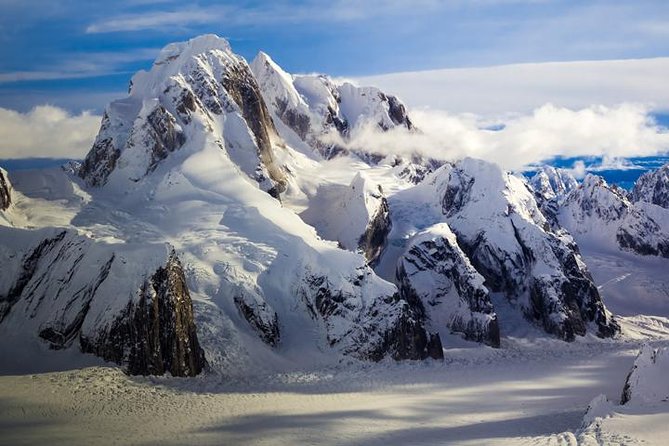 Winter Explorer Flight-seeing Tour from Talkeetna - Informative Commentary and Wildlife Insights
