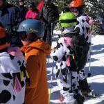 Winter fun-Private transportation to Ski, snowmobiling, and dog sledding areas. - Final Thoughts