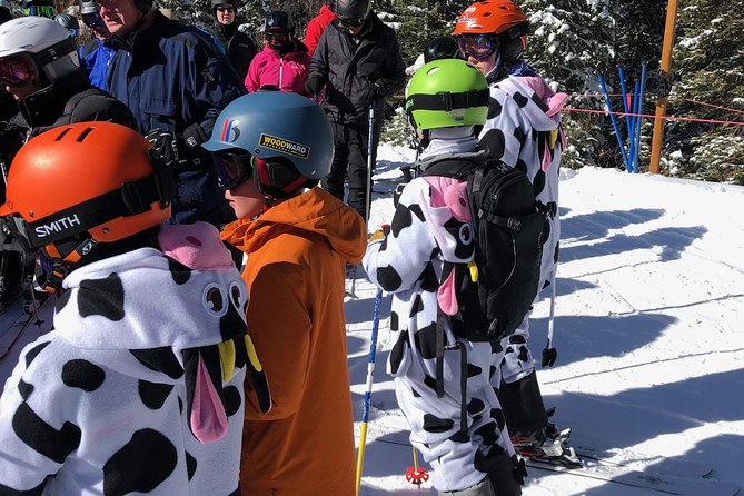 Winter fun-Private transportation to Ski, snowmobiling, and dog sledding areas. - Final Thoughts