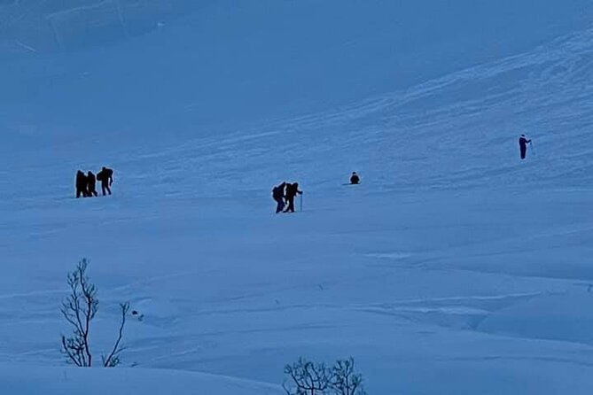 Winter Hiking Set for Snowshoes and Trek Poles - The Experience: What to Expect