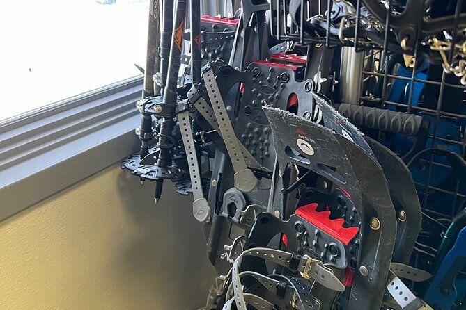 Winter Hiking Set for Snowshoes and Trek Poles - Price and Value