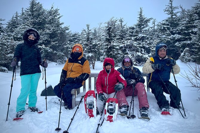 Winter Snowshoeing Adventure - Who Should Book This Tour?