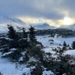 Winter Snowshoeing Adventure - The Sum Up