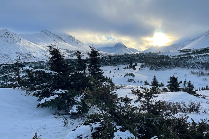 Winter Snowshoeing Adventure - The Sum Up
