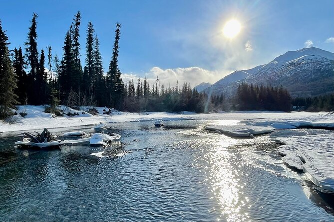 Winter Valley and Forest Hike - What the Tour Includes and What to Expect