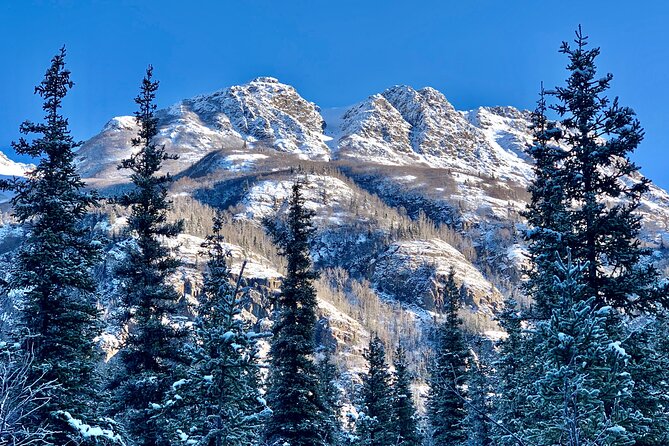 Winter Valley and Forest Hike - Frequently Asked Questions