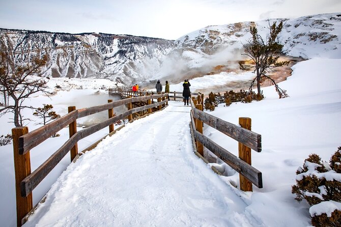 Winter Wildlife Safari in Yellowstone National Park - Exploring Yellowstone in Winter: Whats Included?