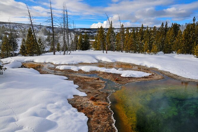Winter Wildlife Safari in Yellowstone National Park - Who Would Love This Tour?