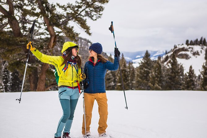 Winter Wildlife Safari: Lamar Valley | Bozeman | PRIVATE + Lunch - The Itinerary in Detail