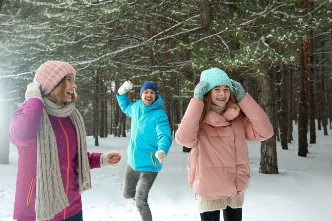Winter Wonderland Walk: Buffalos Festive Highlights - Key Points