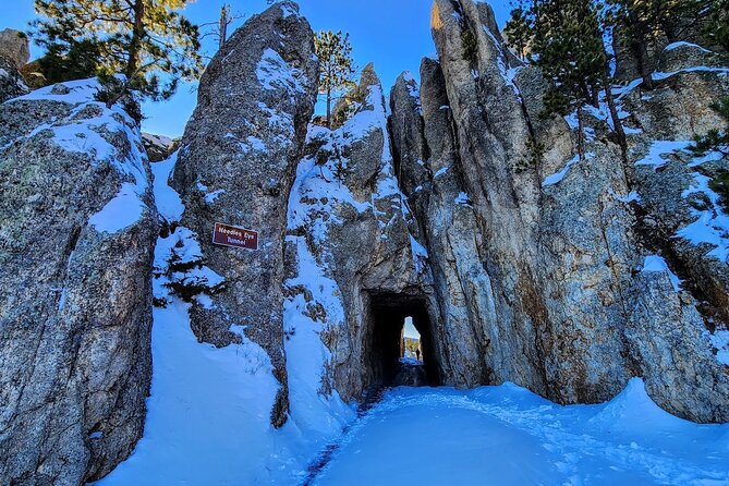 Winter Yellowstone, Grand Teton, and Mount Rushmore 7-day Tour - The Itinerary in Detail