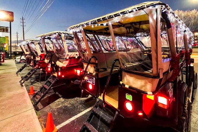 Winterfest Scenic Evening Tour - The Experience in Detail